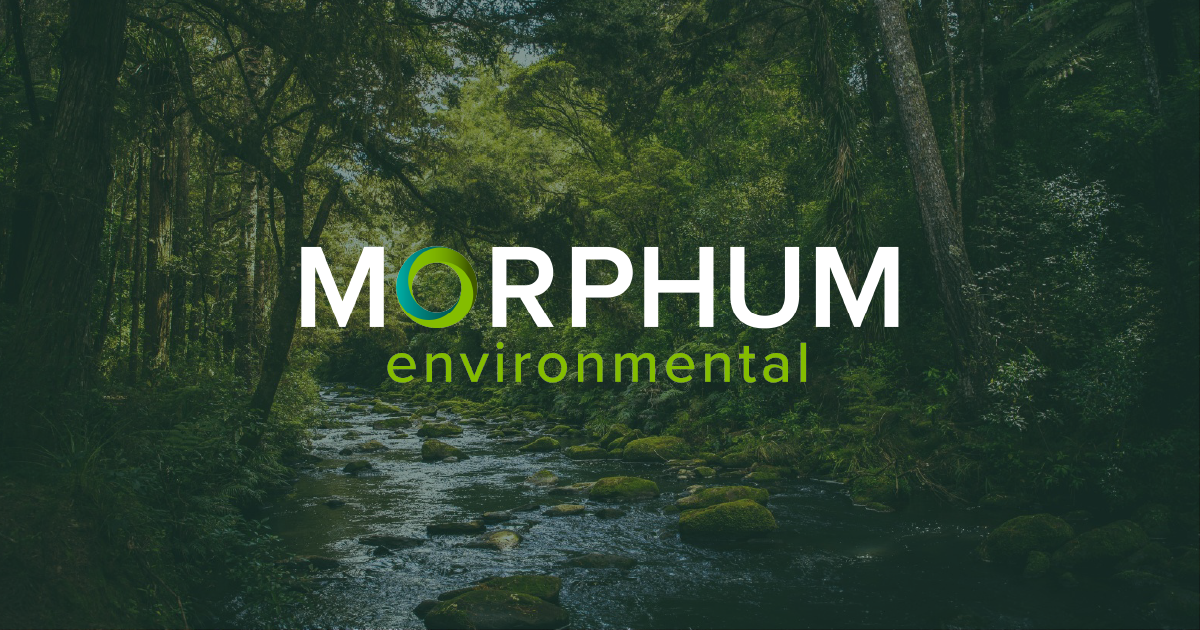 Contact Morphum Environmental